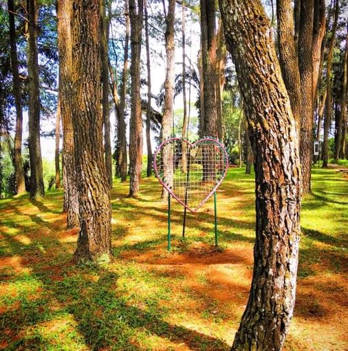 Wisata Bukit Baros – Info.co.id | Semua Ada Disini